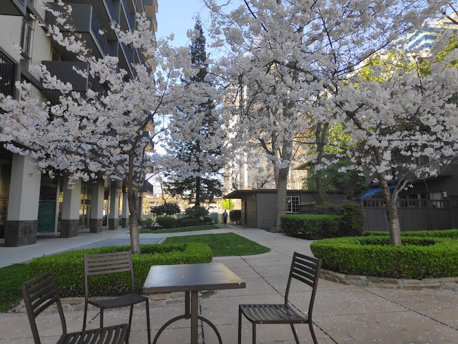 Gino's Java — Coffee Shop in Sacramento, California